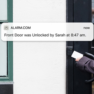 VSA Security | Work Place Surveillance | Security Cameras