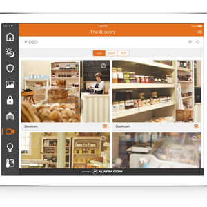 VSA Security | Work Place Surveillance | Security Cameras