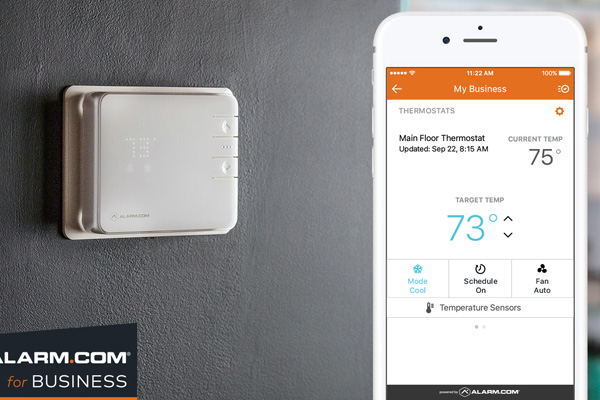 VSA Security | Work Place Surveillance | Security Cameras